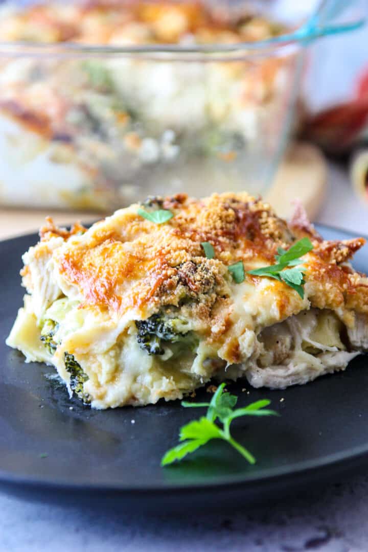 Chicken and Broccoli Lasagna Alfredo - The Food Blog
