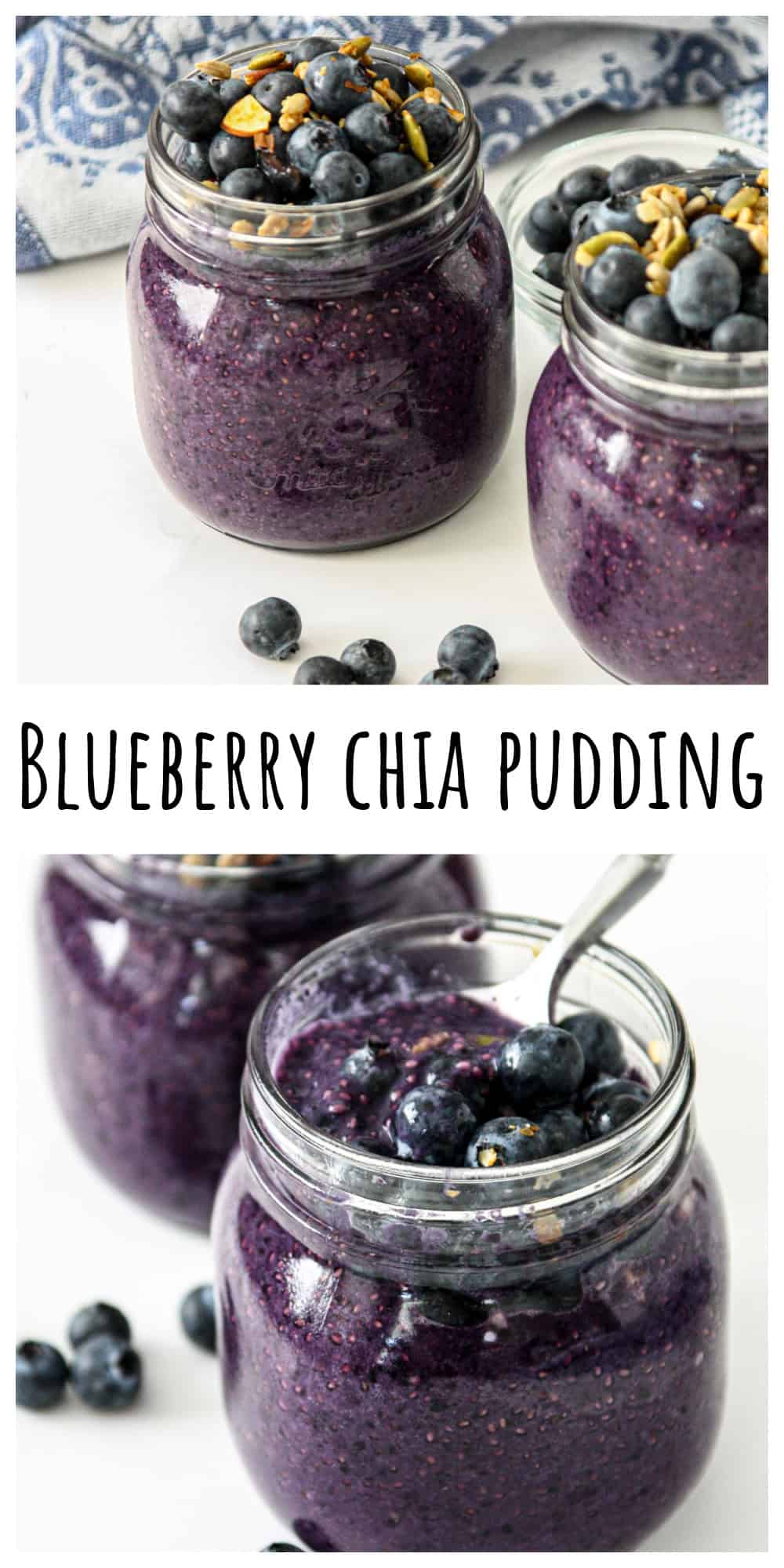 Blueberry Chia Pudding - The Food Blog